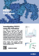 【測定事例】PIEZO1｜Patchliner 技術資料・事例集 ナニオンテクノロジーズジャパン | イプロスものづくり