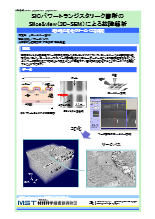 【分析事例】SiCパワートランジスタリーク箇所のSlice&view_3D-SEM_による故障解_C0710 技術資料・事例集 一般財団法人 ...