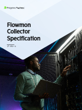 Flowmon Collector 製品カタログ プログレス・ソフトウェア・ジャパン | イプロスものづくり
