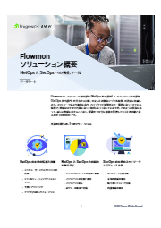 ネットワークトラフィック監視ツール【Flowmon】 プログレス・ソフトウェア・ジャパン | イプロスものづくり
