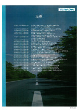 鋳造技術『Semi Solid Cast法』のご紹介 技術資料・事例集 テラダイ | イプロスものづくり