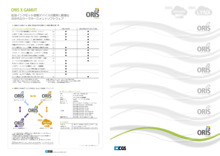 カラーマネージメントソフトウェア『ORIS X GAMUT』 製品カタログ CGS Japan | イプロスものづくり