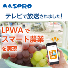 ≪テレビで放送されました！！≫LPWA(sigfox通信)でぶどう畑の温湿度を自動測定・管理。スマート農業を実現！ | マスプロ電工株式会社 | ニュース | イプロスものづくり