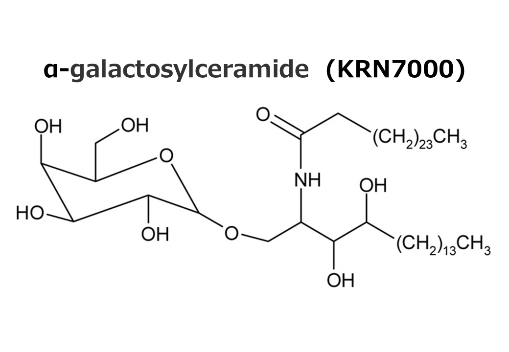 GMP準拠 α-GalCer (KRN7000) アクセルベックス | イプロスものづくり