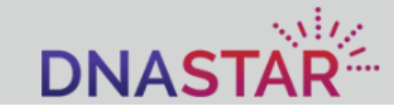 DNAStar B7 | イプロスものづくり