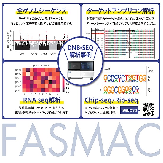 DNB-SEQによる次世代シーケンス解析 ※解析事例集進呈中 ファスマック | イプロスものづくり