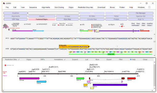 ソフトウェア『DNADynamo』 B7 | イプロスものづくり