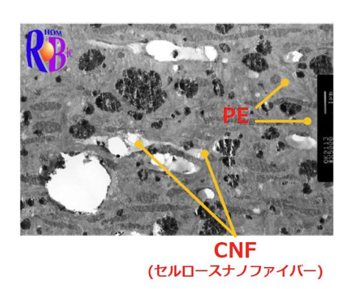 透過型電子顕微鏡(TEM)によるCNF複合材料の観察 ロンビック | イプロスものづくり