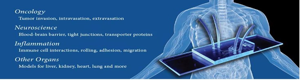 SynVivo マイクロ流路チップ 中山商事 | イプロスものづくり