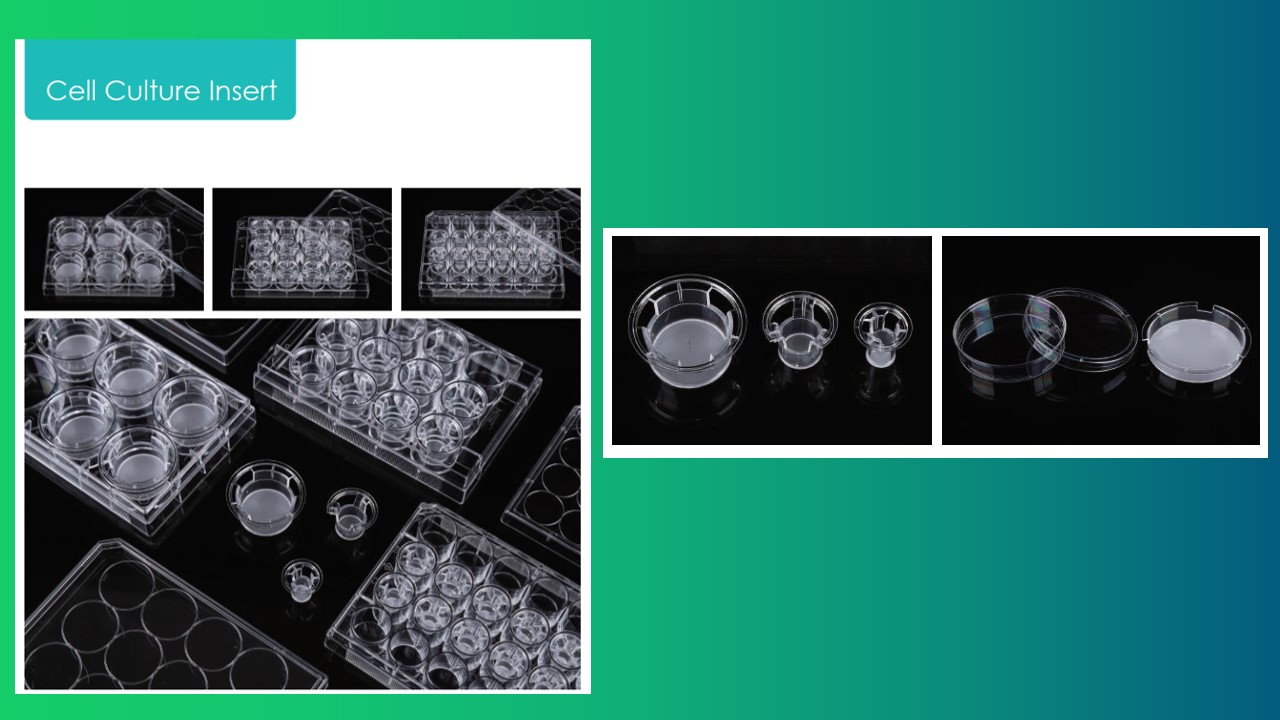細胞培養インサート (Cell Culture Inserts) ネストサイエンティフィック | イプロスものづくり