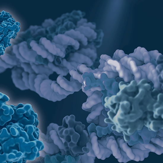 CSTのCUT＆Tag関連製品 セルシグナリングテクノロジージャパン | イプロスものづくり