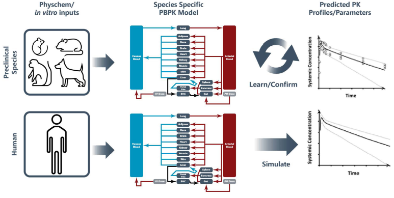 PBPK解析ソフトウェア『Simcyp Discovery』 | サターラ - Powered by イプロス